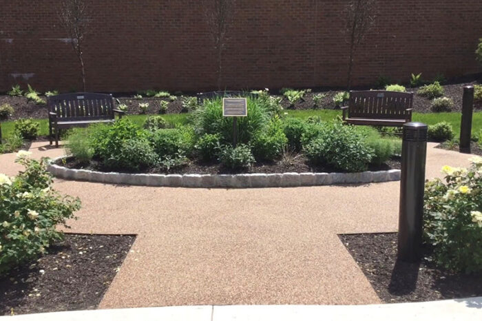 Popular Amenities For Seniors: Hidden Gems Of Riddle Village