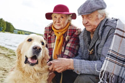 How To Adopt Retired Service Dogs For Seniors? | Riddle Village