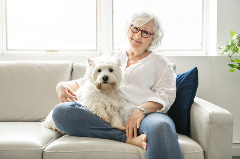 Discover The Best Small Dog Breeds For Seniors And Retirees